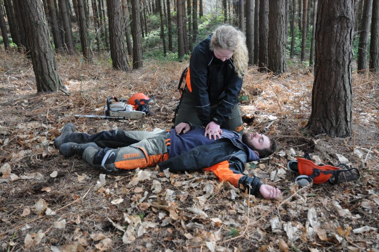 Emergency First Aid at Work (EFAW) +F - Kingswood Training