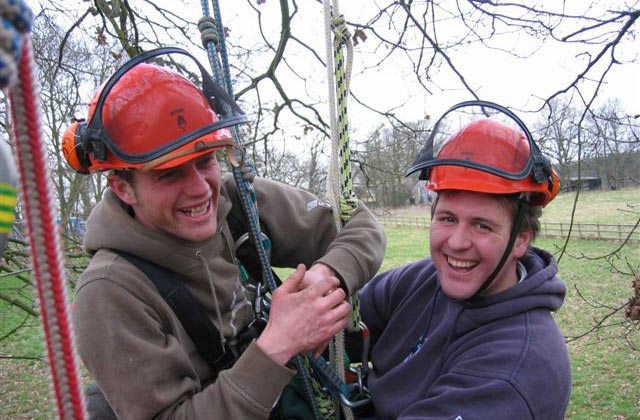 tree_rescue - Kingswood Training